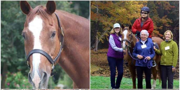 I Can Ride A Horse (and I'm Blind) • Cecropia Strong