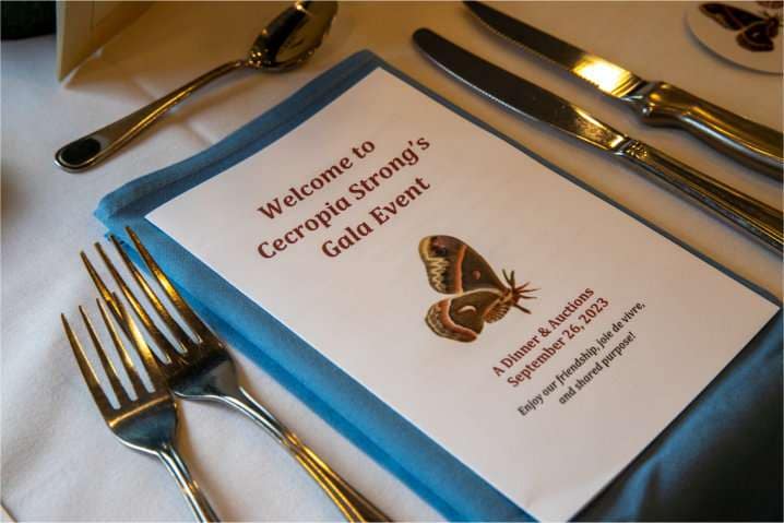 Cecropia Strong's 3rd Annual Gala • Cecropia Strong